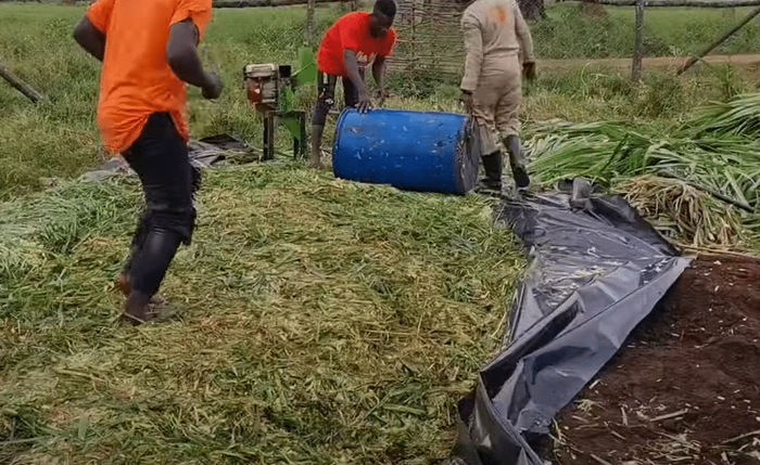 How to make surface super nappier silage - FO-Video-Library