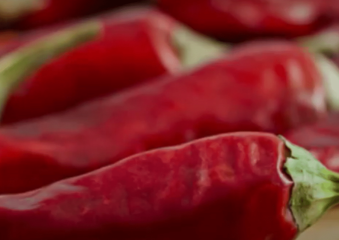 Chilli growing in Uganda - FO-Video-Library