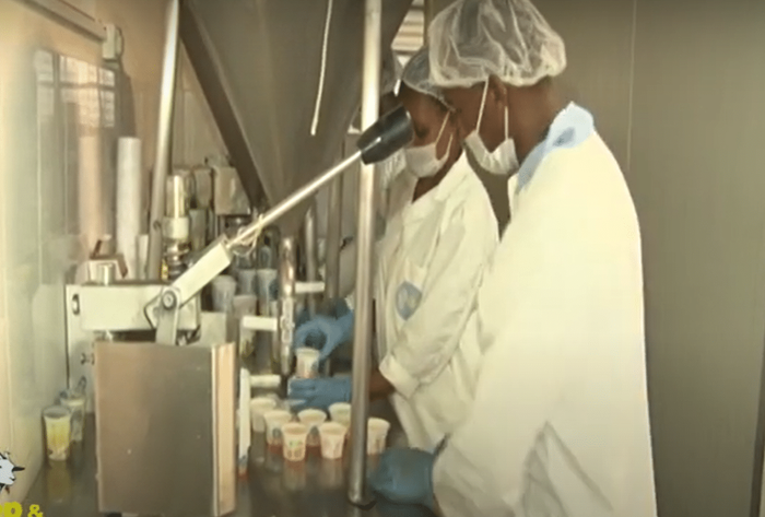 Goat milk value addition to delicious nutritional products – Kibidav ...