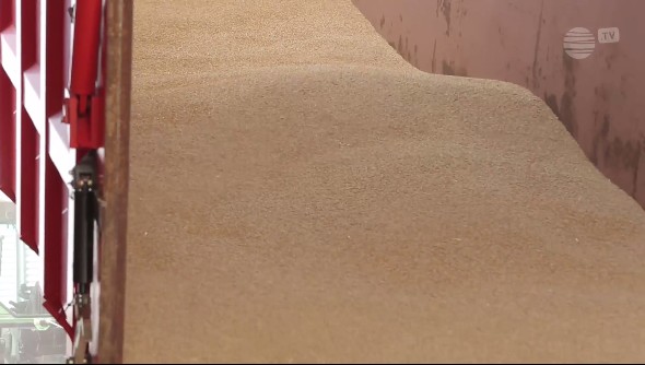 Operating A Grain Silo Fo Video Library