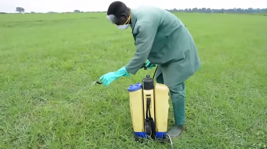 Types of herbicides and how to use them safely - FO-Video-Library