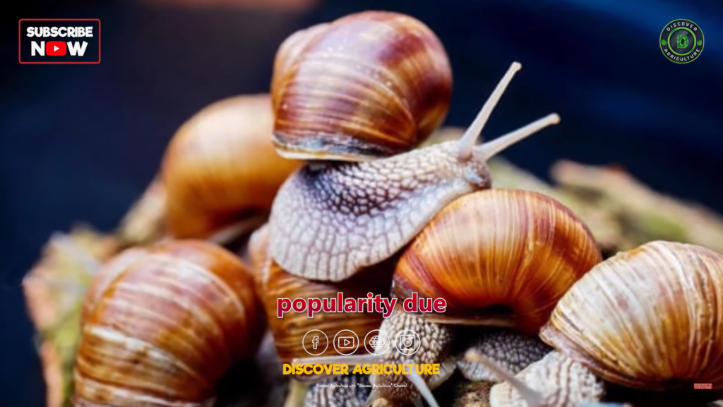 Snail Farming: A Beginner’s Guide to Success - FO-Video-Library
