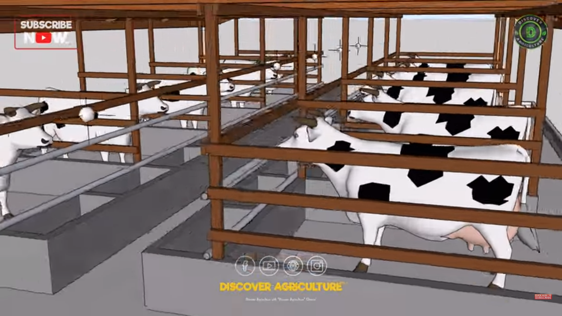 Simple Modern Dairy Farm Shed Design For 10 Cows | Cow Farm Beginners ...