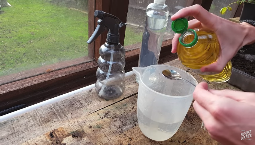 How to make homemade insecticide - FO-Video-Library