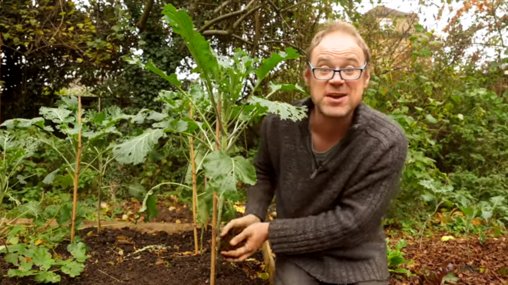 3 Ways To Build Soil Health Fo Video Library