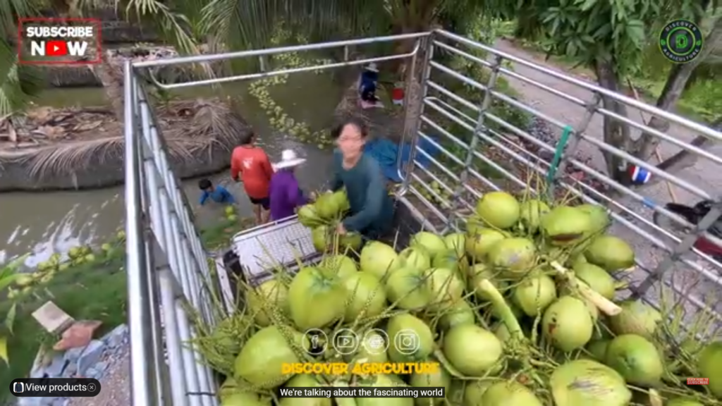 Boost Coconut Farm Income with Byproducts - FO-Video-Library